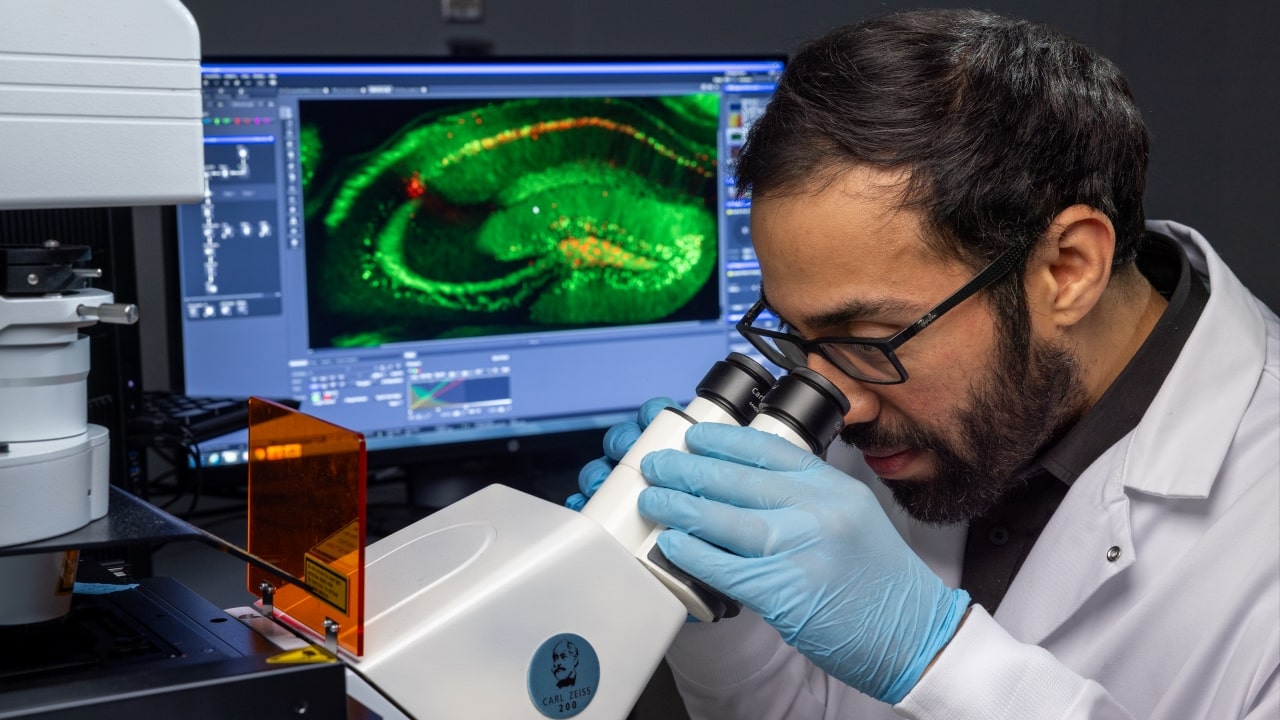 National Geographic Live: Steve Ramirez "Untangling the Mind" | The ...