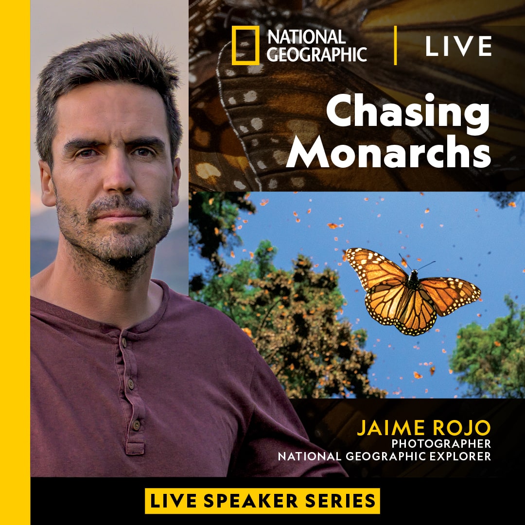 National Geographic Live: Jaime Rojo “Chasing Monarchs” | The Smith Center Las Vegas